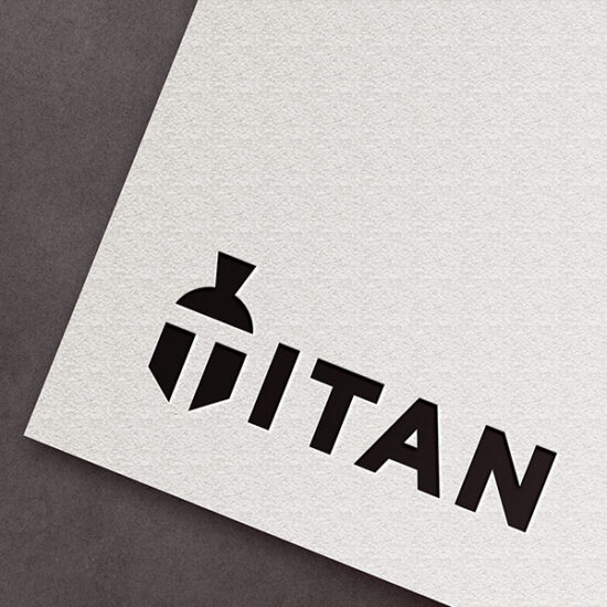 Wordmark Logo Design Services - ideahits