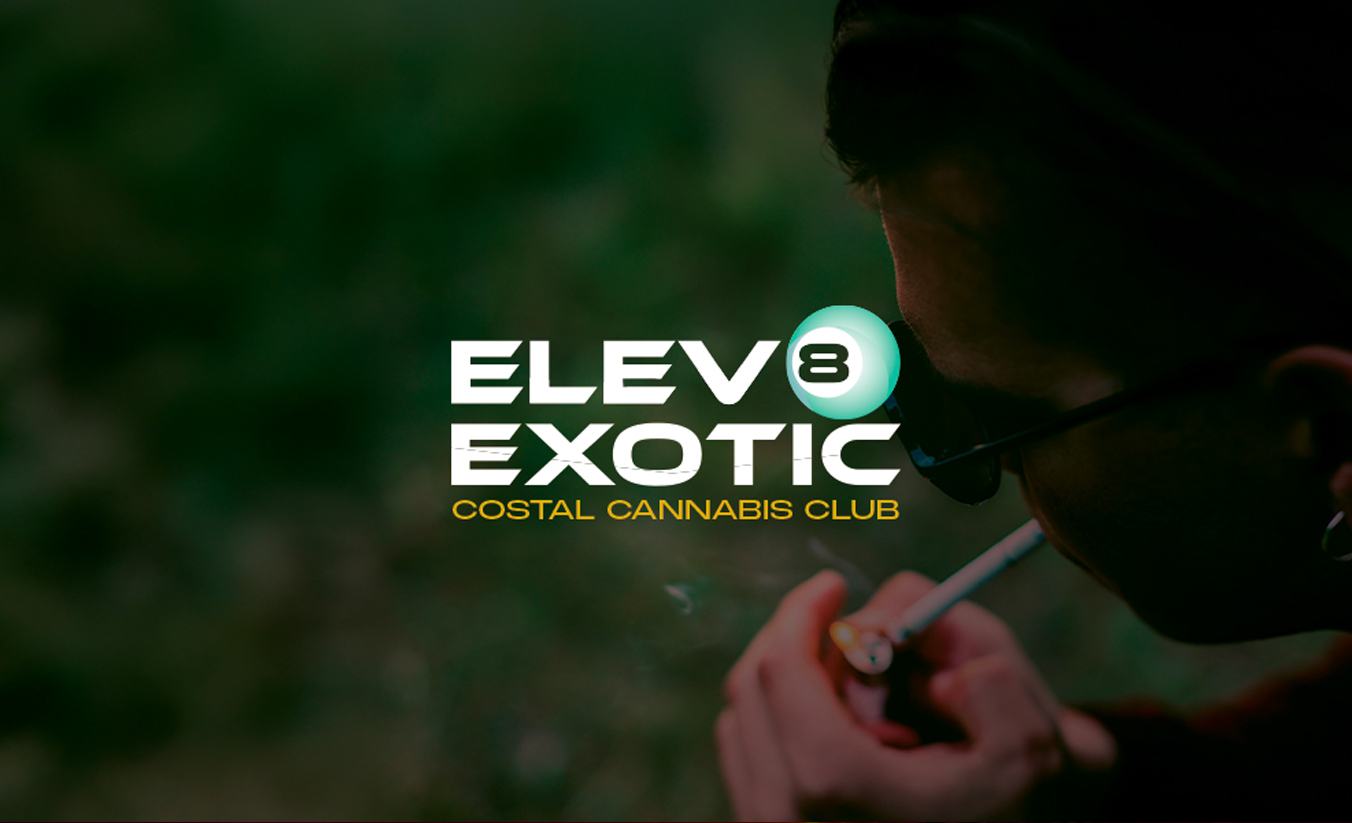 elev8 exotic branding - ideahits